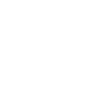 About – Stupid Fresh Mess