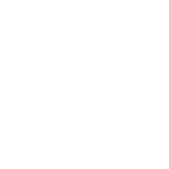 About – Stupid Fresh Mess